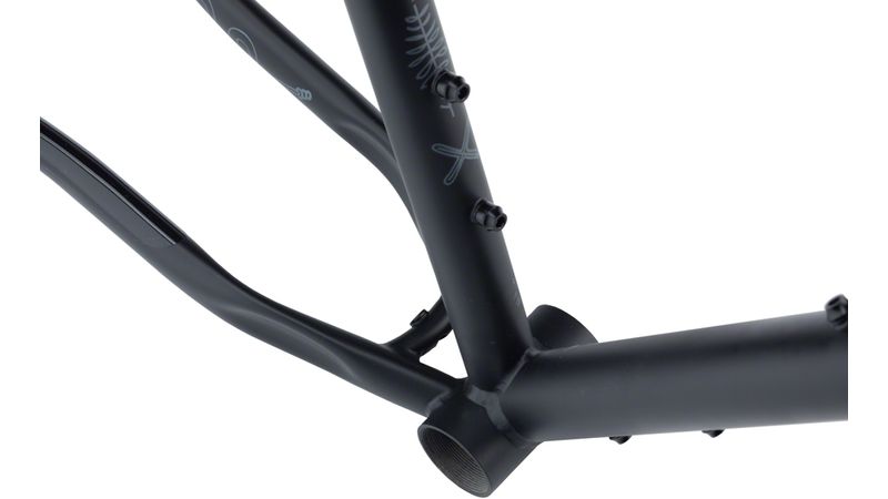 2023 Salsa Fargo Steel Frameset